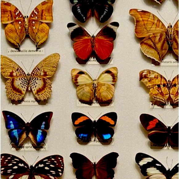 Other | Racks Very Stocked Xs4x Lets Run Everything Random Pulls No ...